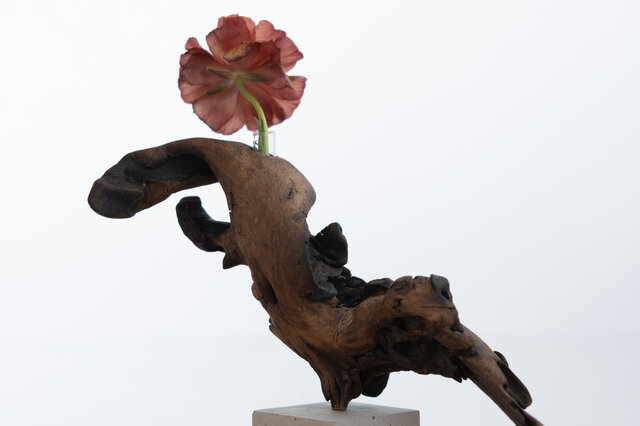 流木一輪挿し | driftwood flowervase | nezimaki no.1 | iichi 日々の暮らしを心地よくするハンドメイドやアンティークのマーケットプレイス