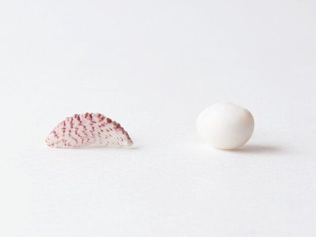 浜遊び 6【14kgf】 | iichi 日々の暮らしを心地よくするハンドメイドやアンティークのマーケットプレイス