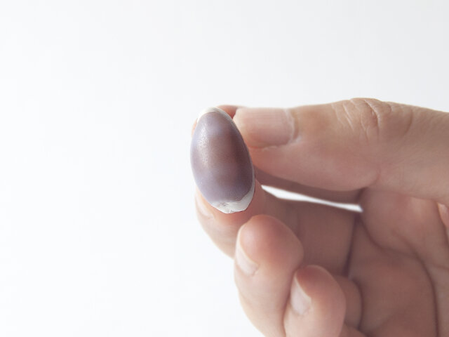 浜遊び 7【14kgf】 | iichi 日々の暮らしを心地よくするハンドメイドやアンティークのマーケットプレイス