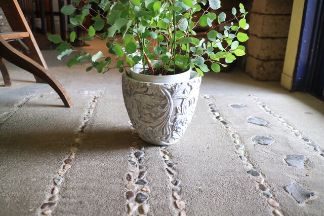 ＜再々再々入荷＞ ちょっと大きな♡ユーカリ ポポラスの木 ハートの葉っぱ アンティーク風鉢付き | iichi 日々の暮らしを心地よくする ...