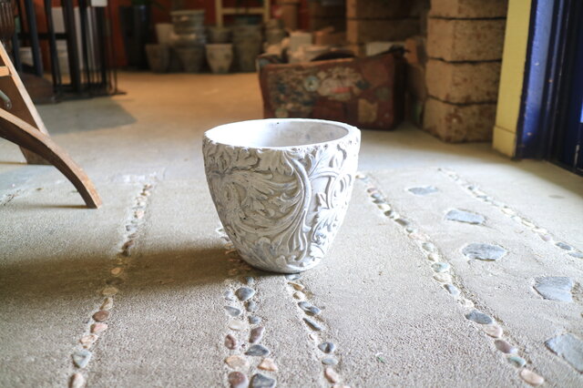 ＜再々再々入荷＞ ちょっと大きな♡ユーカリ ポポラスの木 ハートの葉っぱ アンティーク風鉢付き | iichi 日々の暮らしを心地よくする ...