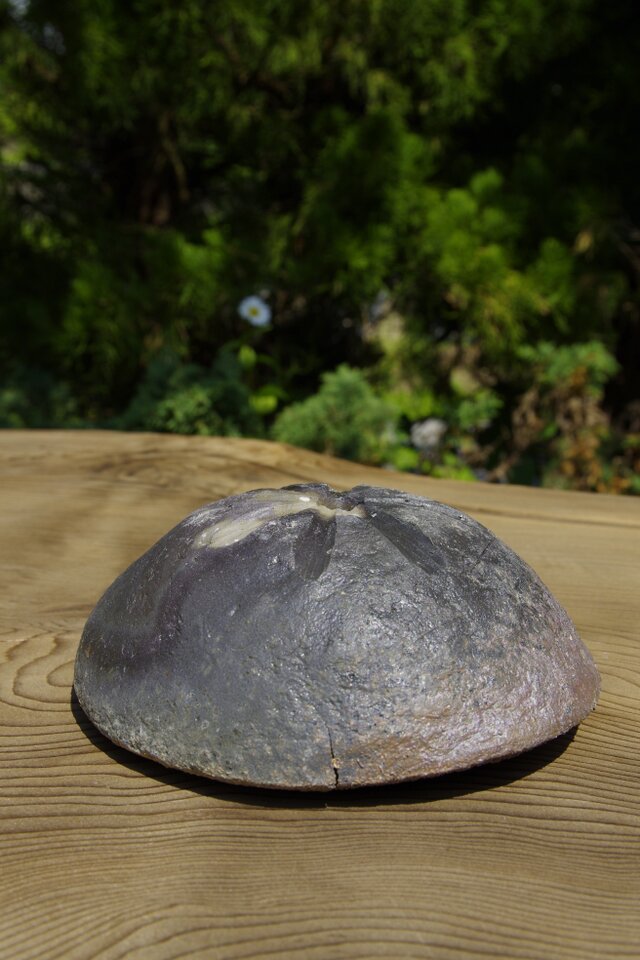 Little forest 植木鉢 no2 | iichi 日々の暮らしを心地よくするハンドメイドやアンティークのマーケットプレイス