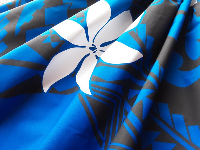 パウスカート：丈65cm：ケイキ：切替え | iichi 日々の暮らしを心地よくするハンドメイドやアンティークのマーケットプレイス