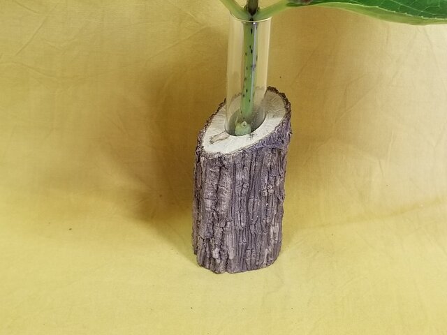 一輪挿し22 ナンテン 自然木 難を転ずる 無塗装 | iichi 日々の暮らしを心地よくするハンドメイドやアンティークのマーケットプレイス