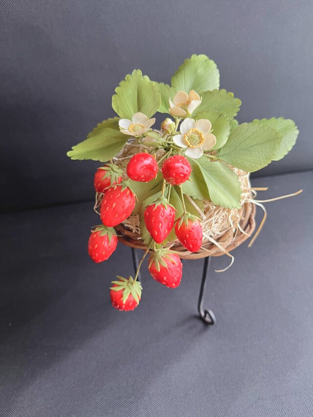 イチゴ | iichi 日々の暮らしを心地よくするハンドメイドやアンティークのマーケットプレイス