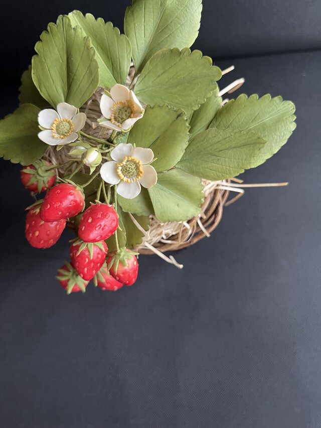 イチゴ | iichi 日々の暮らしを心地よくするハンドメイドやアンティークのマーケットプレイス