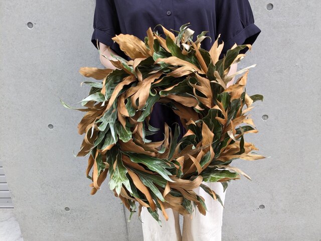 【受注制作】グレビレアリース*50cm | iichi 日々の暮らしを心地よくするハンドメイドやアンティークのマーケットプレイス