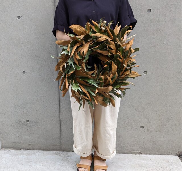 【受注制作】グレビレアリース*50cm | iichi 日々の暮らしを心地よくするハンドメイドやアンティークのマーケットプレイス