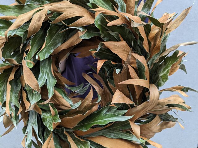 【受注制作】グレビレアリース*50cm | iichi 日々の暮らしを心地よくするハンドメイドやアンティークのマーケットプレイス