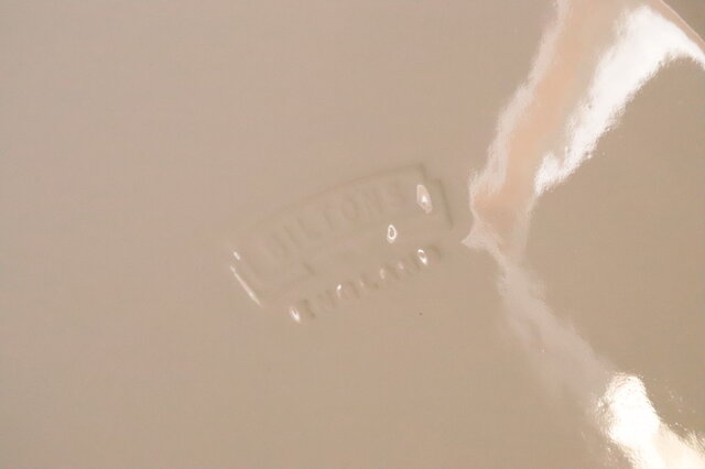 №295 かわいいプレート2枚/大皿/パスタ皿/キッチン雑貨/未使用 | iichi 日々の暮らしを心地よくするハンドメイドやアンティークのマーケットプレイス