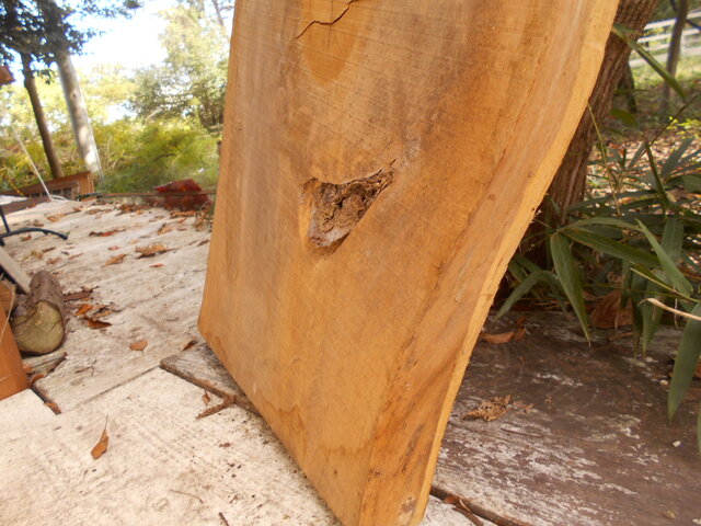 原木いちょう 10-12 | iichi 日々の暮らしを心地よくするハンドメイドやアンティークのマーケットプレイス