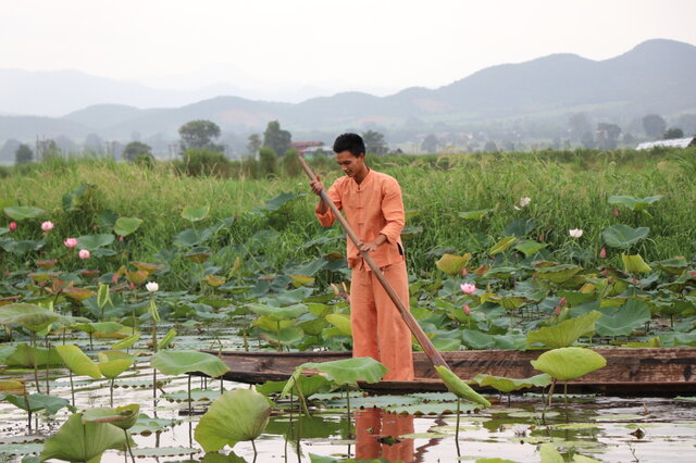 100%Lotus handbag | iichi 日々の暮らしを心地よくするハンドメイドやアンティークのマーケットプレイス