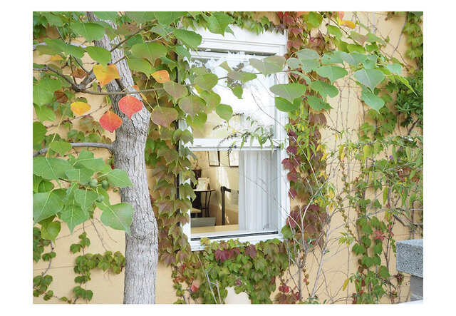 Postcard photograph-14 | iichi 日々の暮らしを心地よくするハンドメイドやアンティークのマーケットプレイス