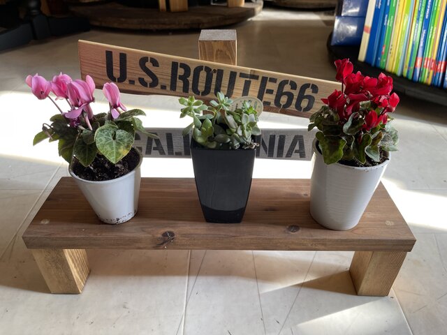 在庫あり 即納 hotaru 多肉置き 多肉 ガーデニング 雑貨 玄関 花 庭 観葉植物 椅子インテリア ステンシル | iichi 日々の暮らしを心地よくするハンドメイドやアンティークの ...