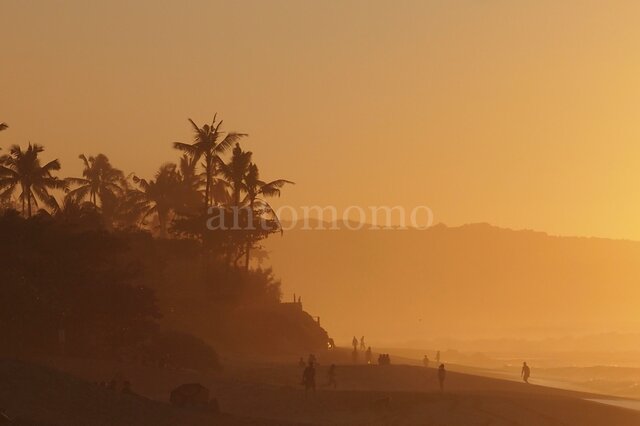 Hawaii 02 A3ポスター アート/写真/インテリア | iichi 日々の暮らしを心地よくするハンドメイドやアンティークのマーケットプレイス