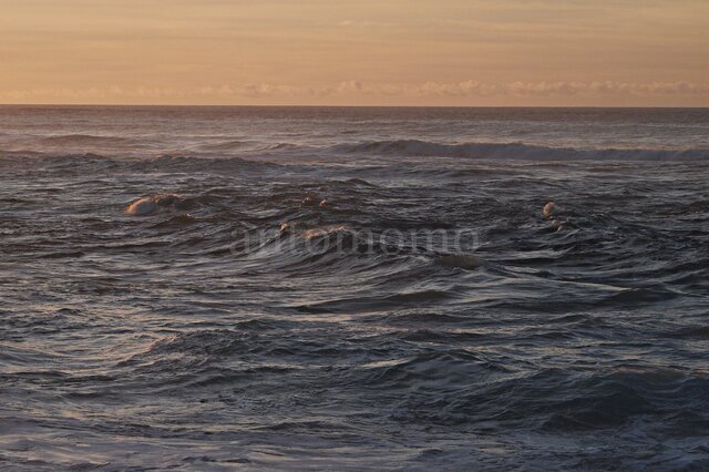 Hawaii 03 A3ポスター アート/写真/インテリア | iichi 日々の暮らしを心地よくするハンドメイドやアンティークのマーケットプレイス