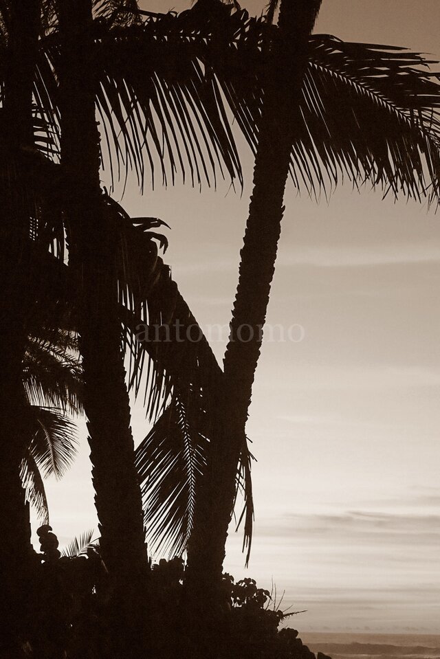 Hawaii 04 A3ポスター アート/写真/インテリア | iichi 日々の暮らしを心地よくするハンドメイドやアンティークのマーケットプレイス