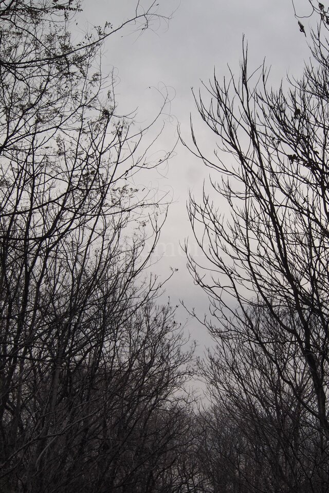 Japan 05 A3ポスター アート/写真/インテリア | iichi 日々の暮らしを心地よくするハンドメイドやアンティークのマーケットプレイス