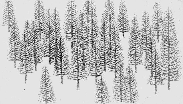 冬木立・2025A/銅版画（作品のみ） | iichi 日々の暮らしを心地よくするハンドメイドやアンティークのマーケットプレイス