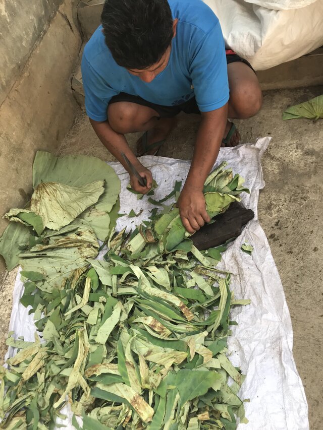 100%蓮糸(藕絲)Normal | iichi 日々の暮らしを心地よくするハンドメイドやアンティークのマーケットプレイス