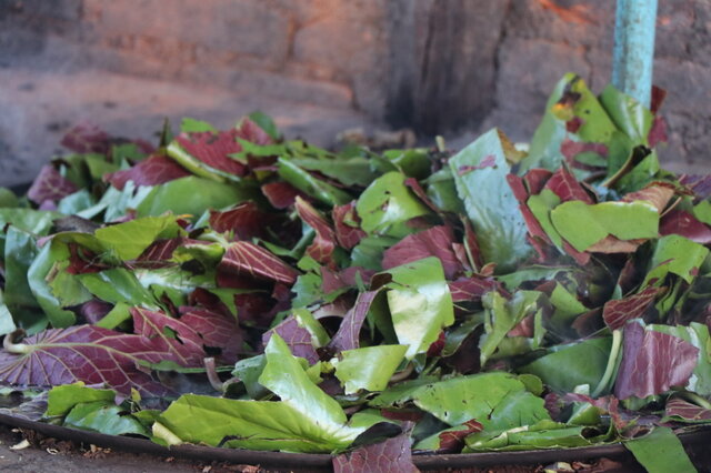 100%蓮糸(藕絲)Normal | iichi 日々の暮らしを心地よくするハンドメイドやアンティークのマーケットプレイス