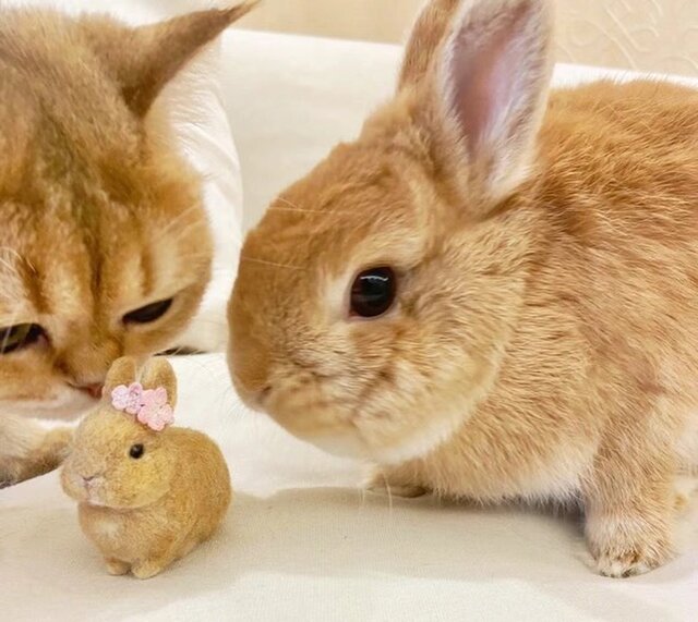 オーダーメイドペット】羊毛フェルトウサギ、うちの子 うさぎ、ぬいぐるみ、フェルト、肖像画、人形 プレゼントやギフトにのコピーのコ | iichi 日々の暮らしを心地よくするハンドメイドや ...