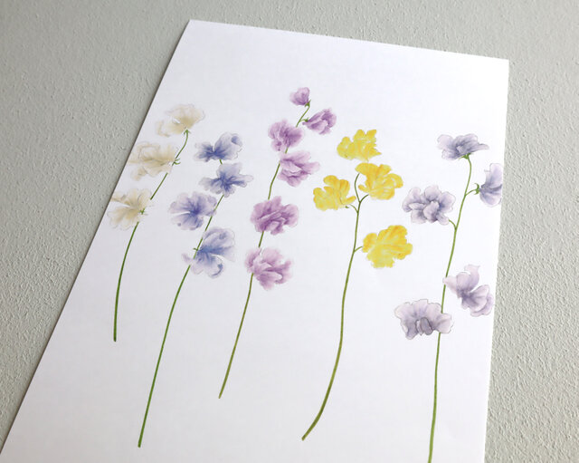 レターセット スイートピー | iichi 日々の暮らしを心地よくするハンドメイドやアンティークのマーケットプレイス