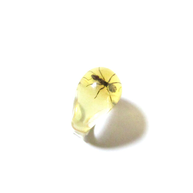 Vintage Ant Resin Specimen Ring | iichi 日々の暮らしを心地よくするハンドメイドやアンティークの ...