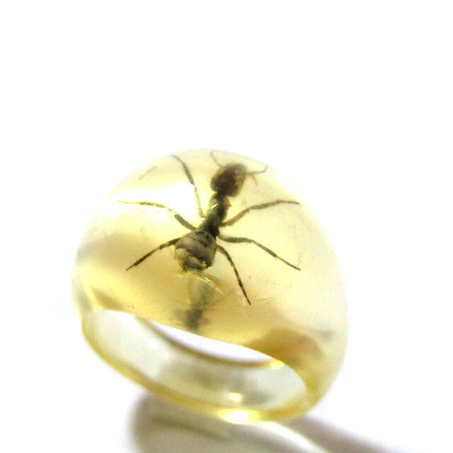 Vintage Ant Resin Specimen Ring | iichi 日々の暮らしを心地よくするハンドメイドやアンティークの ...