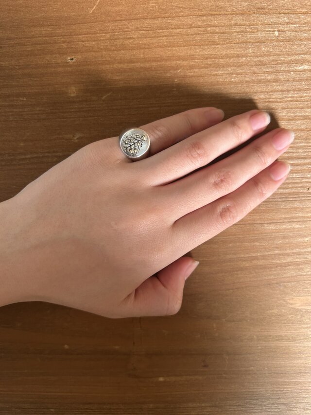 tree signet ring 02 | iichi 日々の暮らしを心地よくするハンドメイドやアンティークのマーケットプレイス