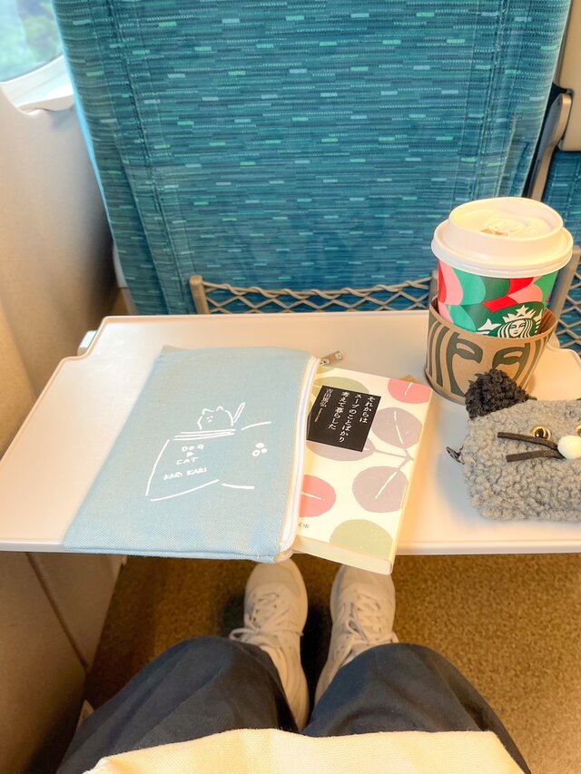 本を入れるポーチ（小サイズ） | iichi 日々の暮らしを心地よくするハンドメイドやアンティークのマーケットプレイス