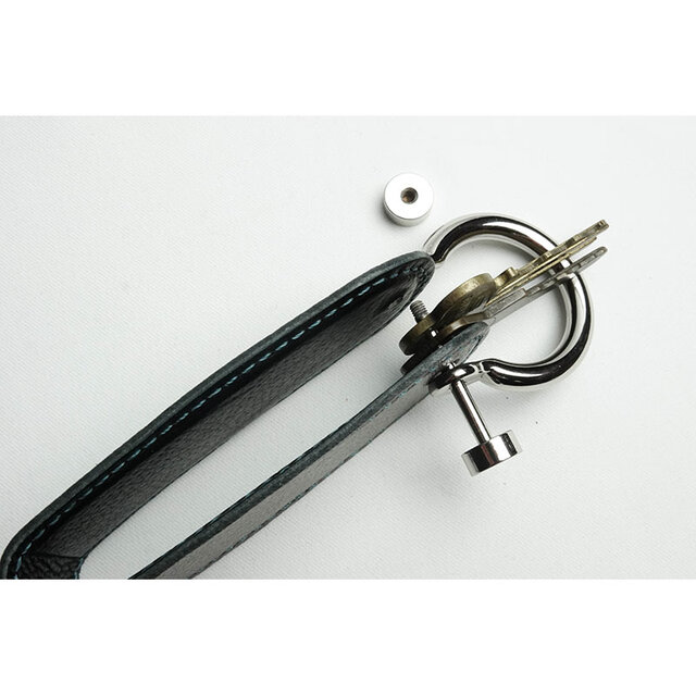 カメレオン デザイン / ヤギ革 スマート キーケース ( 玉蟲カブト ) | iichi 日々の暮らしを心地よくするハンドメイドやアンティークのマーケットプレイス