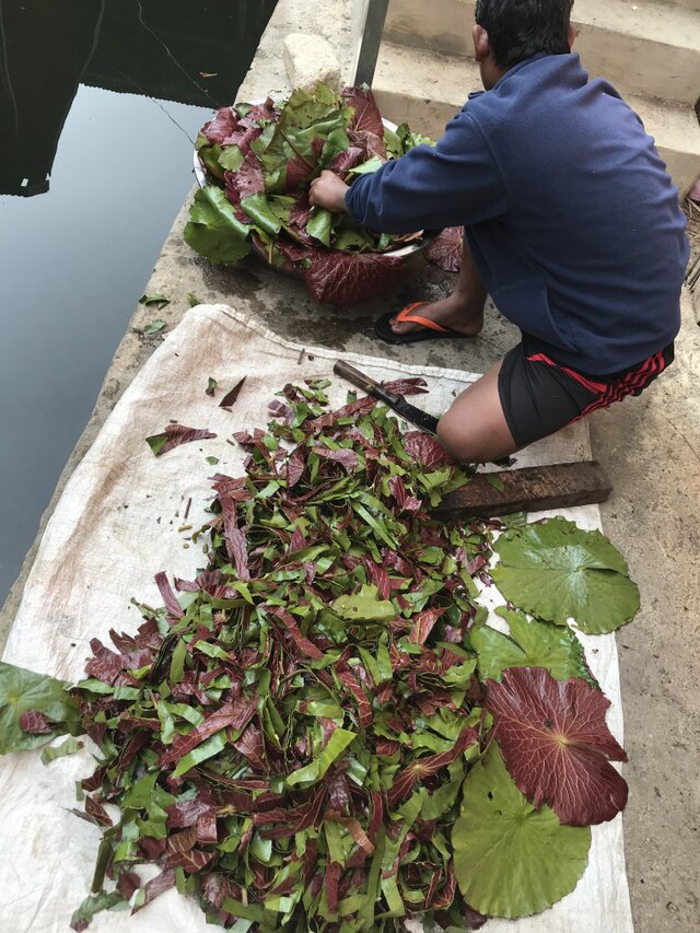 100%蓮糸(藕絲)Normal | iichi 日々の暮らしを心地よくするハンドメイドやアンティークのマーケットプレイス