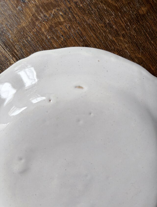 窯不明 緑 ブランディーユ 小枝柄 リム皿 平皿 φ21.8cm フランス アンティーク 0502182 | iichi 日々の暮らしを心地よくするハンドメイドやアンティークのマーケットプレイス