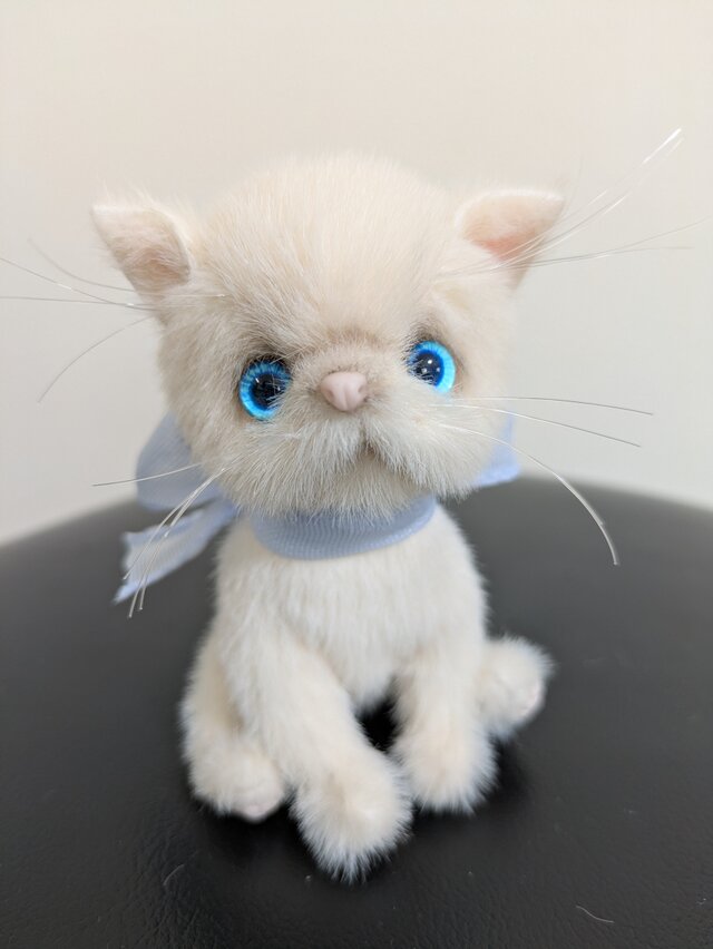 ぬいぐるみ☆猫☆ブルーアイ☆クリー厶 | iichi 日々の暮らしを心地よくするハンドメイドやアンティークのマーケットプレイス