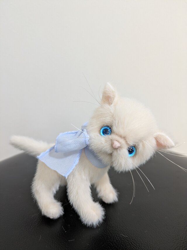 ぬいぐるみ☆猫☆ブルーアイ☆クリー厶 | iichi 日々の暮らしを心地よくするハンドメイドやアンティークのマーケットプレイス