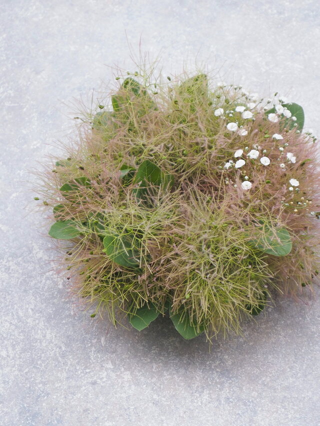 スモークツリーのミニリース18cm-白 | iichi 日々の暮らしを心地よくするハンドメイドやアンティークのマーケットプレイス