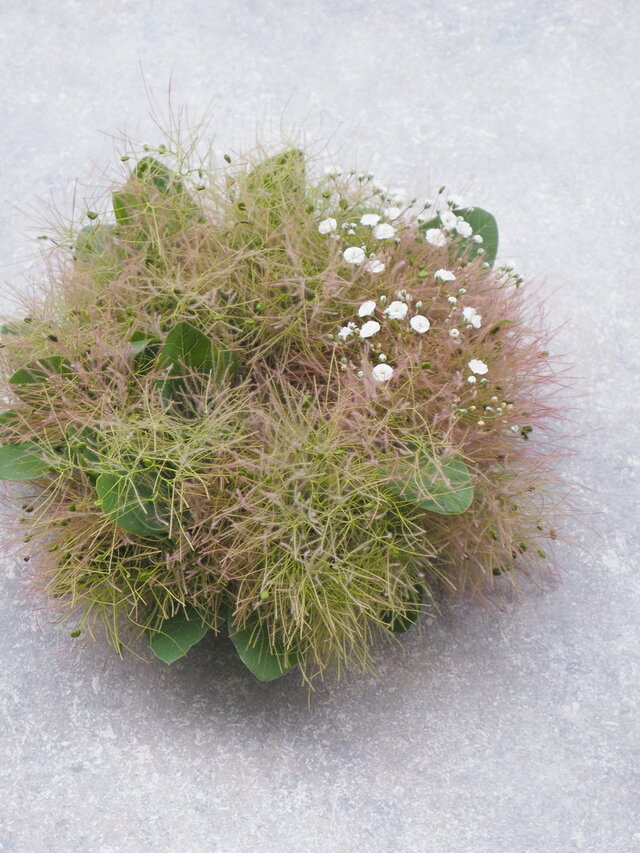 スモークツリーのミニリース18cm-白 | iichi 日々の暮らしを心地よくするハンドメイドやアンティークのマーケットプレイス