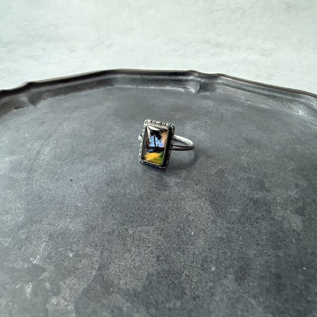 【143】モルフォ蝶の楽園 – トーマス・L・モット アンティークリング | iichi 日々の暮らしを心地よくするハンドメイドやアンティークのマーケットプレイス