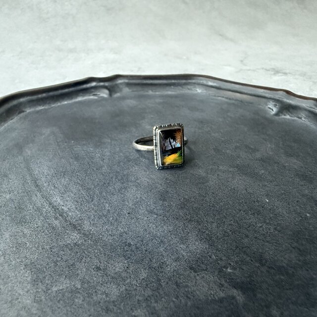 【143】モルフォ蝶の楽園 – トーマス・L・モット アンティークリング | iichi 日々の暮らしを心地よくするハンドメイドやアンティークのマーケットプレイス