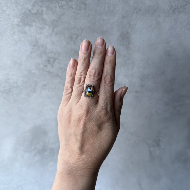 【143】モルフォ蝶の楽園 – トーマス・L・モット アンティークリング | iichi 日々の暮らしを心地よくするハンドメイドやアンティークのマーケットプレイス