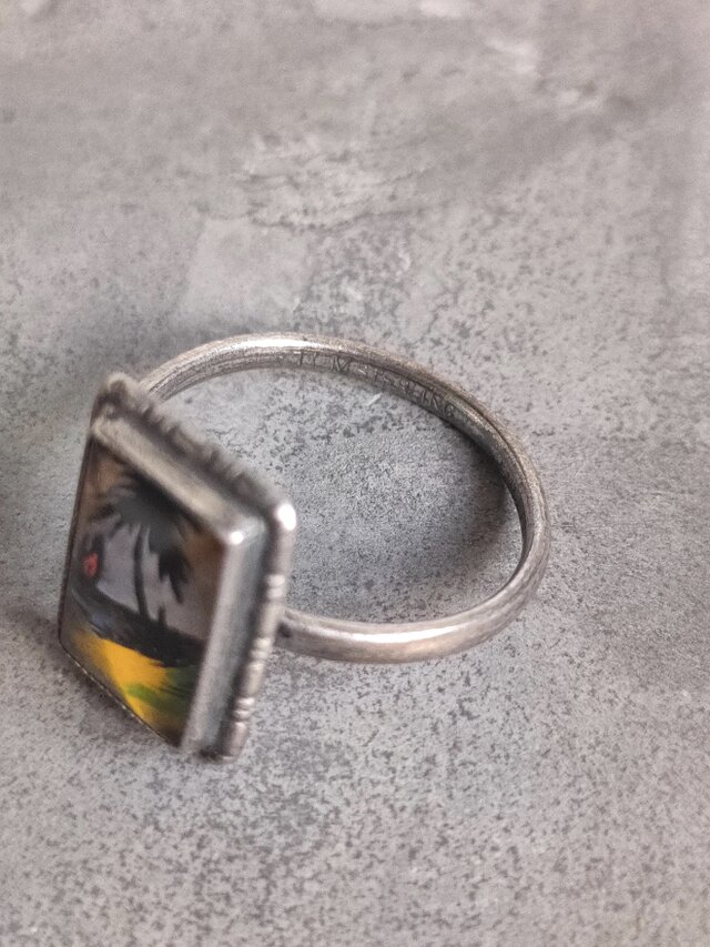 【143】モルフォ蝶の楽園 – トーマス・L・モット アンティークリング | iichi 日々の暮らしを心地よくするハンドメイドやアンティークのマーケットプレイス