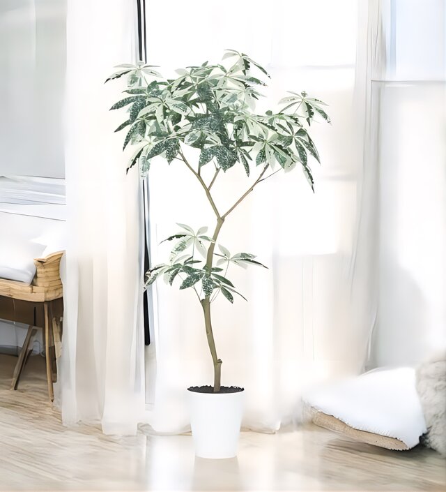 光触媒 人工観葉植物 ウォールグリーン フェイクグリーン パキラミルキーウェイ150FST | iichi 日々の暮らしを心地よくするハンドメイドやアンティークのマーケットプレイス