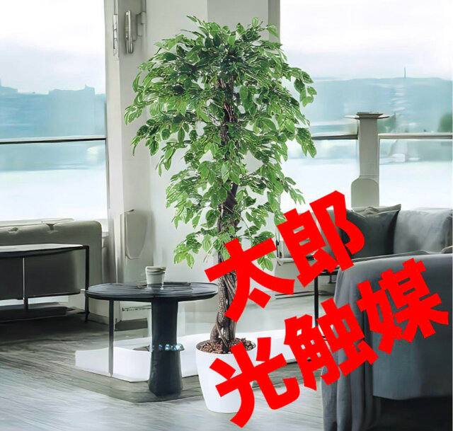 光触媒 人工観葉植物 ウォールグリーン フェイクグリーン ベンジャミナスプラッシュリアナ150 | iichi 日々の暮らしを心地よくするハンドメイドやアンティークのマーケットプレイス