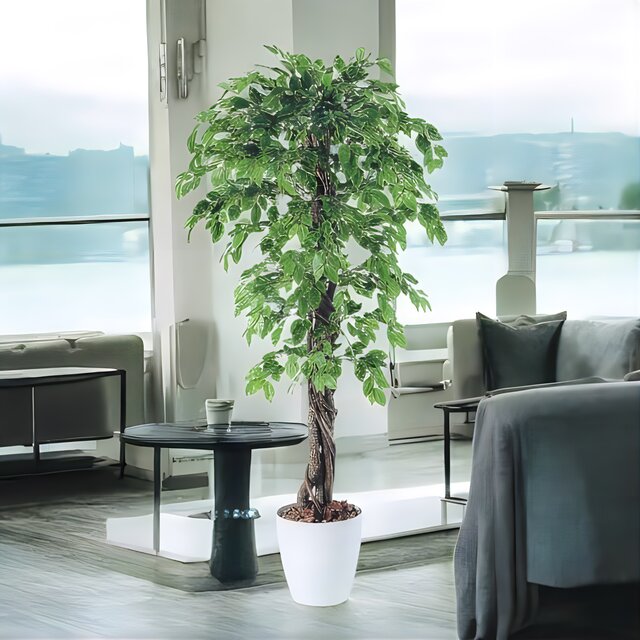 光触媒 人工観葉植物 ウォールグリーン フェイクグリーン ベンジャミナスプラッシュリアナ150 | iichi 日々の暮らしを心地よくするハンドメイドやアンティークのマーケットプレイス