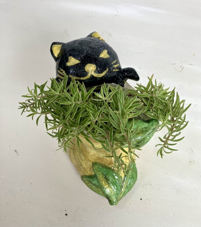 ミニサイズ猫 レモン形プランターオブジェ手作り | iichi 日々の暮らしを心地よくするハンドメイドやアンティークのマーケットプレイス