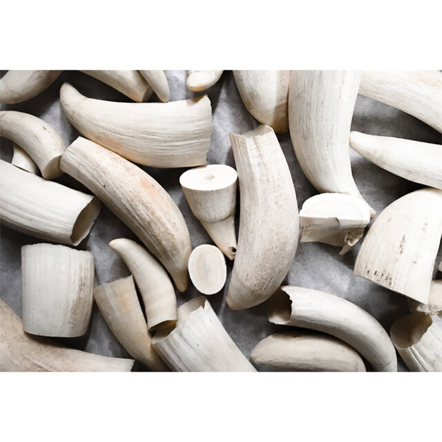 K10 菱：Makkoh：hook earrings | iichi 日々の暮らしを心地よくするハンドメイドやアンティークのマーケットプレイス