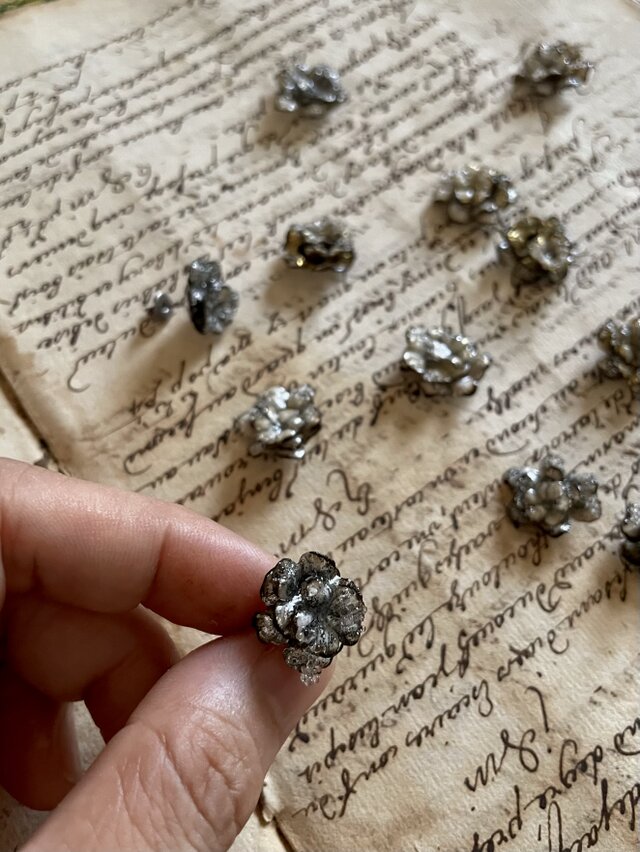 夜想花 ピアス／イヤリングH | iichi 日々の暮らしを心地よくするハンドメイドやアンティークのマーケットプレイス