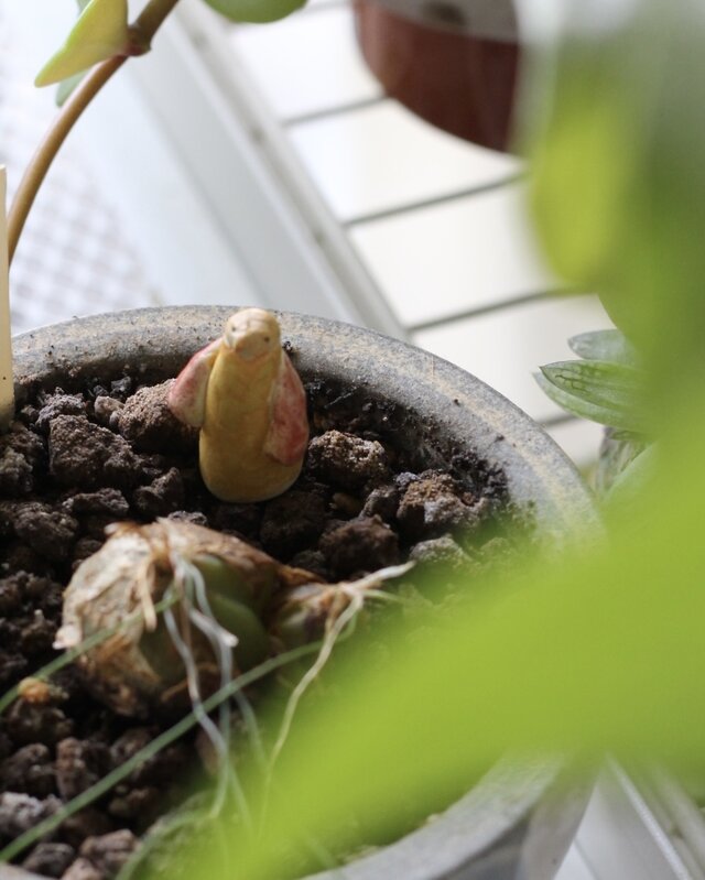 植物を守る四人 小さな陶芸 | iichi 日々の暮らしを心地よくするハンドメイドやアンティークのマーケットプレイス