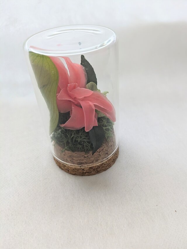 プリザーブドフラワー／ピンクチューベローズと小花のミニガラスボトルギフト | iichi 日々の暮らしを心地よくするハンドメイドやアンティークのマーケットプレイス